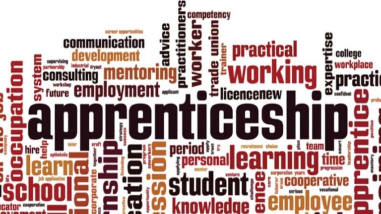 Fatehabad PWD Recruitment 2024 » Apply Online Apprentice 19 Posts