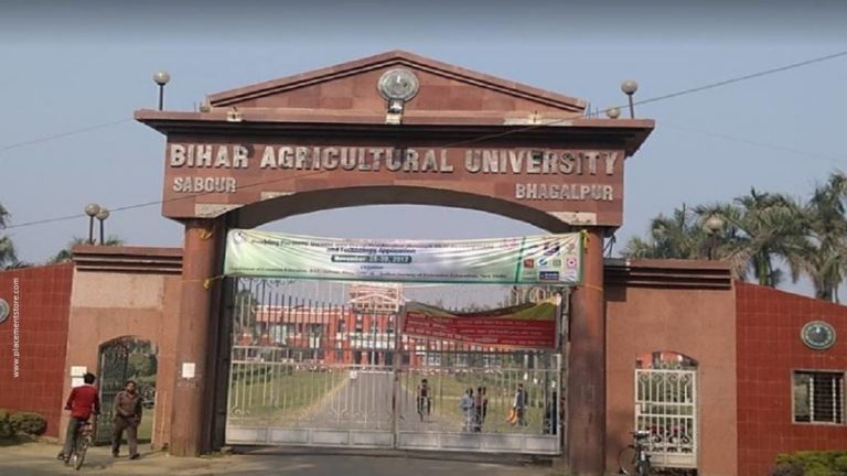 BAU Sabour Recruitment 2024 » Apply Associate Professor 195 Posts